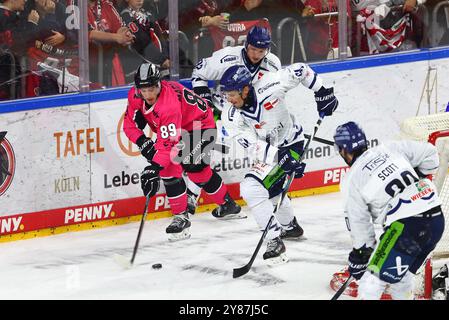 Justin Braun (Straubing Tigers) im Duell mit Markus Schweiger (Löwen ...
