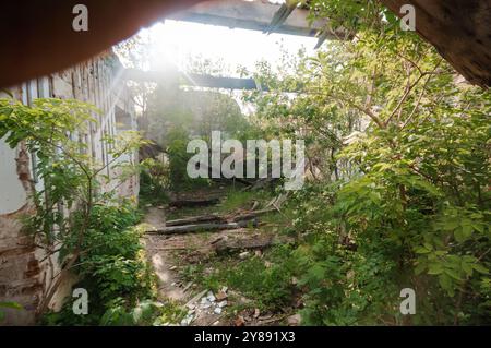 Abandoned Sanctuary: Nature Reclaims the Forgotten Ruins of a Once ...