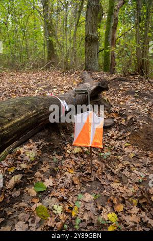 Orienteering. Control point Prism and electric composter for ...