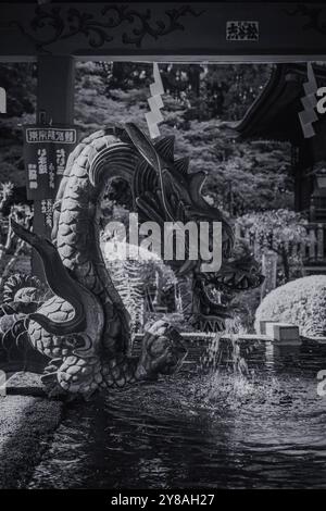 detail of dragon pool in the temple Stock Photo - Alamy