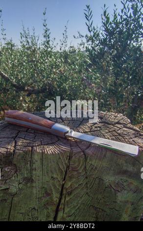 Tools displayed over tree stump. Specialized grafting knife Stock Photo ...