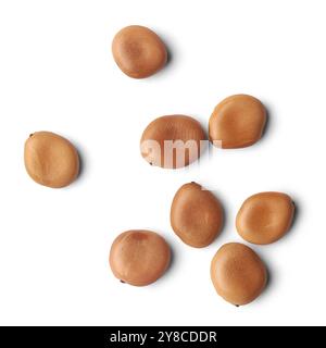 Pebble tamarind seeds isolated with white background Stock Photo - Alamy
