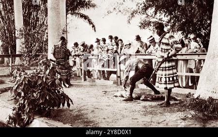 Two Mikasuki Seminole men hold rifles while a white man wrestles an ...