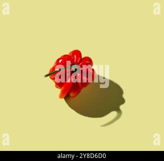 Red peper with hard shadow, isolated Stock Photo - Alamy