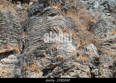 Folded thin beds of limestone outcrop. Peru, South America Stock Photo ...