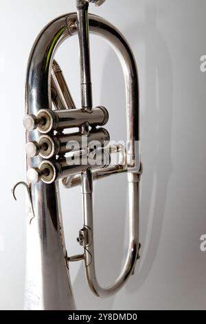 Vintage Flugal Horn silver finish Stock Photo - Alamy