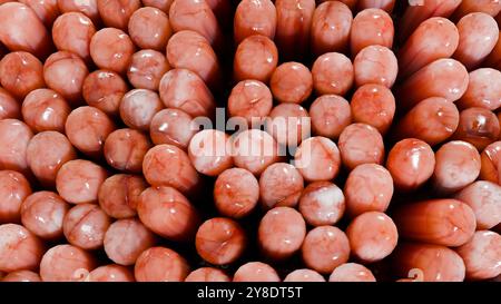 Intestine lining and villi , Food digestion and absorption , Intestinal ...