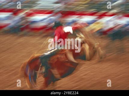 Rodeo in Phoenix, Arizona Stock Photo - Alamy