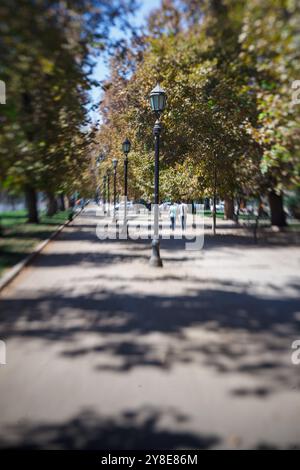 The elegant Parque Forestal park with autumn leaves trees in Santiago ...