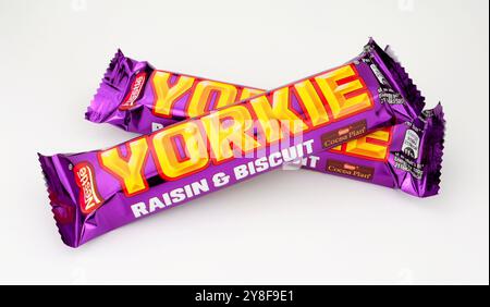 Nestle Yorkie raisin and biscuit milk chocolate bar foil wrapped Stock ...