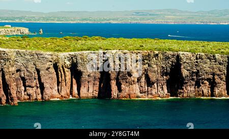 Desert beach at the southern end of San Pietro Island.,Southern ...