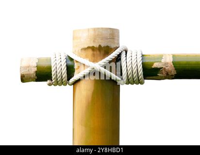Layers of rope tied around a bamboo log isolated on white background ...