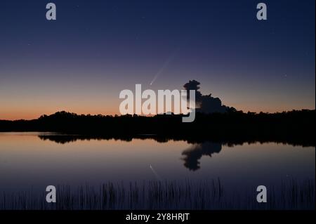 Comet Tsuchinshan-ATLAS rises in east over calm water of Nine Mile Pond ...