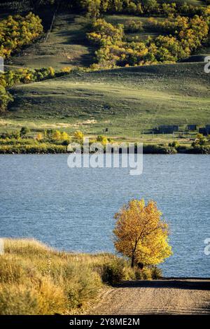 Prairie colors in fall yellow orange trees colorful Stock Photo - Alamy