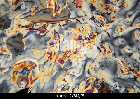 Potassium sulphate under the microscope, at 80x magnification and in ...