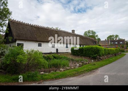 Houses on island of Nyord in Denmark Stock Photo - Alamy