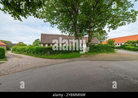 Houses on island of Nyord in Denmark Stock Photo - Alamy