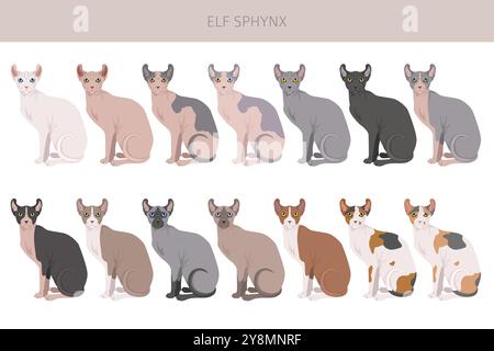 Elf Sphynx Cat clipart. All coat colors set. All cat breeds ...