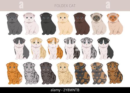 Exotic Shorthair Cat clipart. All coat colors set. All cat breeds ...