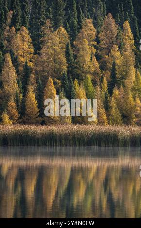 Prairie colors in fall yellow orange trees canoe calm Stock Photo - Alamy