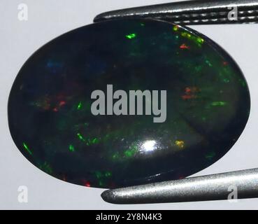 Stunning Opal Gemstone with Iridescent Play of Color and Smooth Surface ...