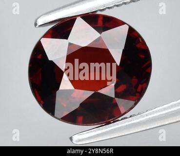 Radiant Red Garnet Gemstone Captured in Captivating Detail Stock Photo ...
