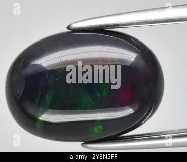 Captivating Natural Opal Gemstone Displaying Vibrant Iridescence in a ...