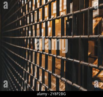 A closeup shot of a metal texture of a symmetrical gate partially ...