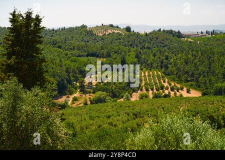 Beautiful summertime landscapes near Perugia, Umbria region, Italy ...