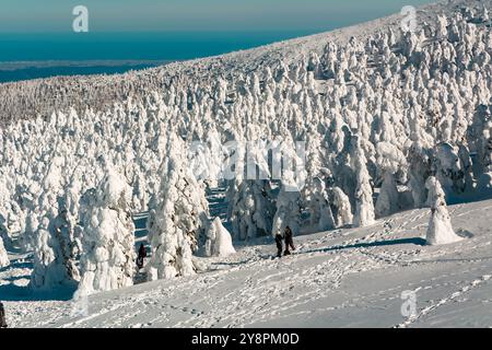 Hikers around ice-sculpted frozen trees at Zao Onsen, Japan Stock Photo ...
