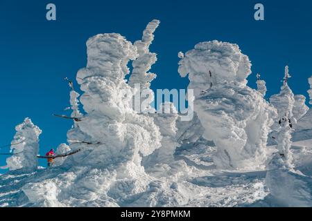Hikers exploring the frozen Snow Monsters at Zao, Yamagata, Japan Stock ...