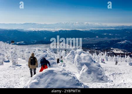 Hikers exploring the frozen Snow Monsters at Zao, Yamagata, Japan Stock ...