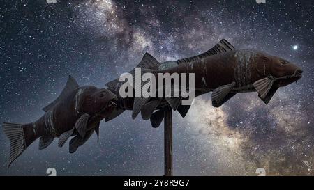 Fish in sky with milky way night sky added in B&W Stock Photo - Alamy