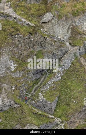 Whaligoe Steps, steep steps in the rock, lead to a historic harbour on ...