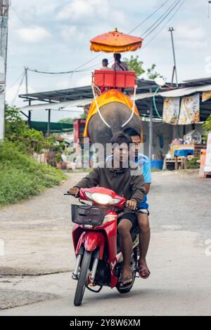 AYUTTHAYA, THAILAND, JUNE 03 2024, A mahout sits on an elephant with a ...