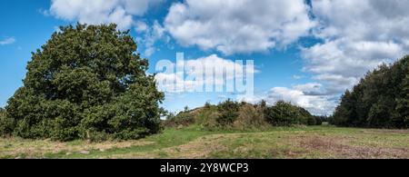 Mound of the Egtved girl from the Neolitic period, Denmark Stock Photo ...