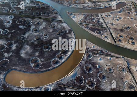 Sears Point Tidal Wetland Restoration, near Novato, California, USA ...