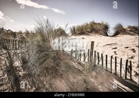 Protected coastal dunes on the Fylde coast,UK Stock Photo - Alamy