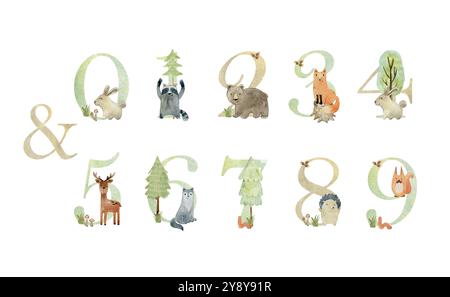 Watercolor woodland animals vector numbers for invitation card, nursery ...