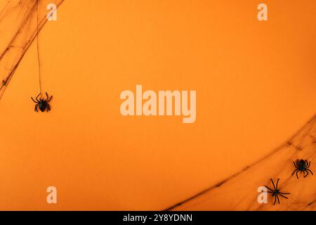 Autumn festive composition on old wooden background. Decorative pumpkin ...