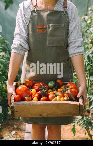A person holds a ripe red tomato in their hand. The setting is a garden ...
