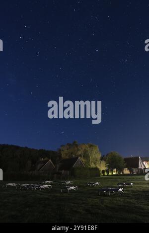 Starry sky, starry night, Beech Resort am Plauer See, Ganzlin ...