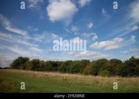 Wyken Croft Nature Park, Coventry, West Midlands, England, UK Stock ...