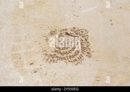 Sand drawing made by a crab. Small hole and sand balls in a circle ...