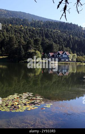 Bolu Golcuk Nature Park is an area frequently used by local and foreign ...