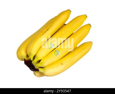 Victoria Bananas banana Stock Photo - Alamy