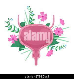 Urinary incontinence, cystitis Stock Vector Image & Art - Alamy