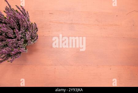 A bunch of Calluna vulgaris commonly known as Heather showing the ...