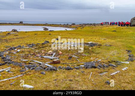 Lindblad Expeditions guests explore Cape Flora on Northbrook Island in ...