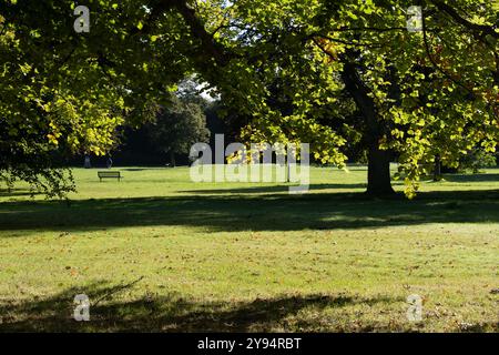 Gosford Green, Coventry, West Midlands, England, UK Stock Photo - Alamy